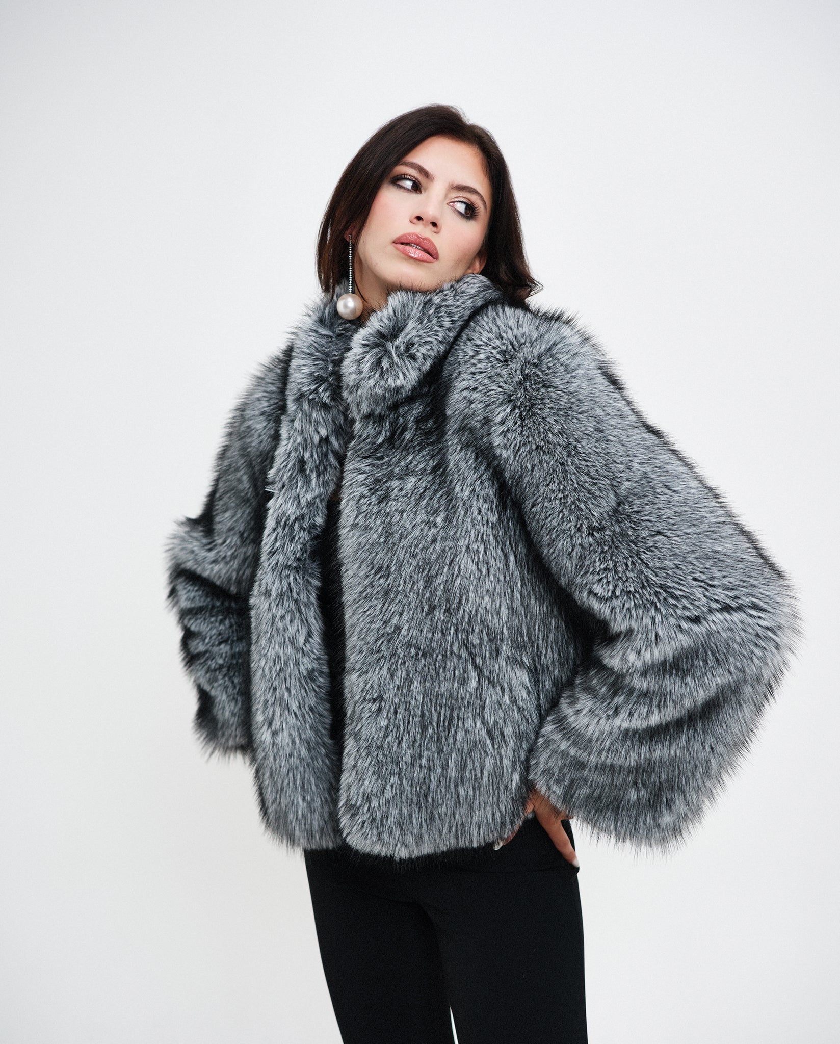 Silver Frost Fox – Save The Fox